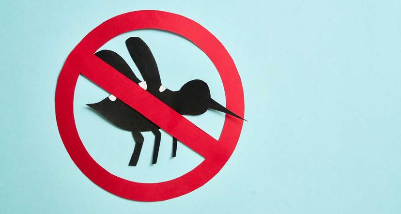 162 dengue, 42 malaria cases in Delhi so far