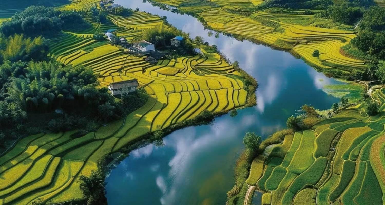 Rice feeds billions but its climate toll is surging