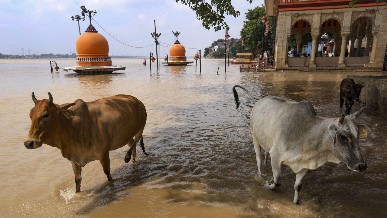 'Aarti', cremations moved to rooftops as Ganga floods ghats